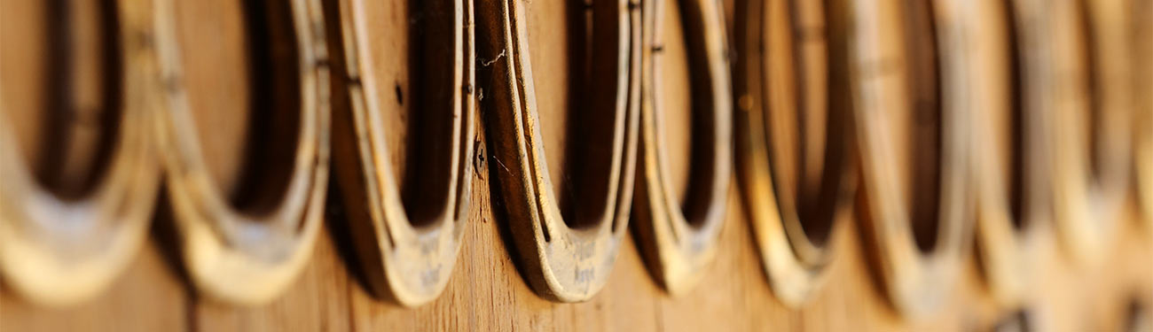 The History of Raintree Ranch - YMCA of San Diego County